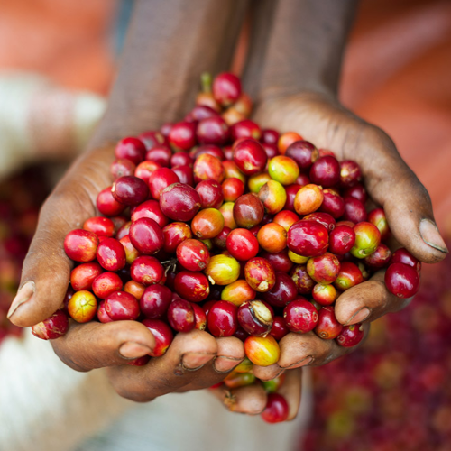 Essential Trading Cooperative - Homepage